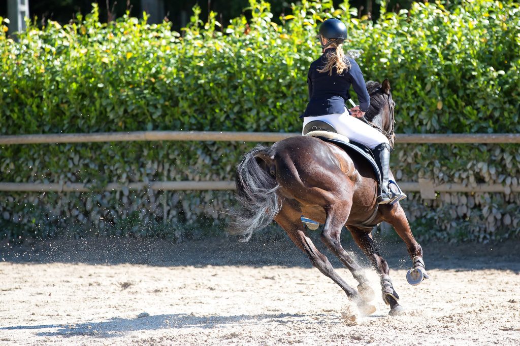 Projet photo 52 - #20 - Concours CSO - YaPasFoto